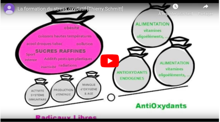 La formation du stress oxydatif [vidéo de Thierry Schmitt] – Action vitale
